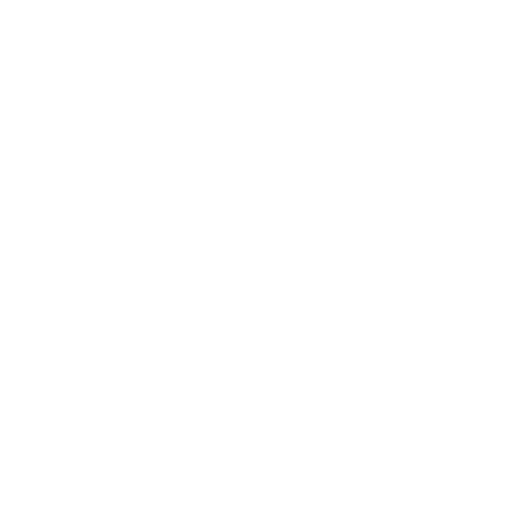 DigiSkills - DigiSkills