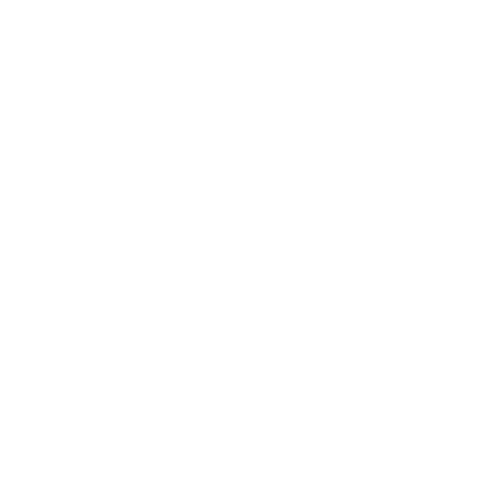 DigiSkills - DigiSkills