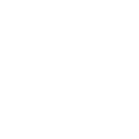 DigiSkills - DigiSkills