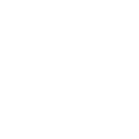 DigiSkills - DigiSkills