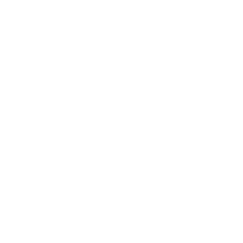 DigiSkills - DigiSkills