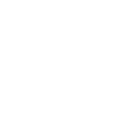 DigiSkills - DigiSkills