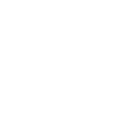 DigiSkills - DigiSkills