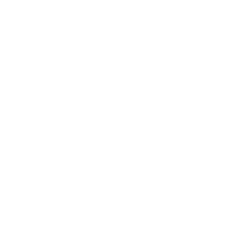 DigiSkills - DigiSkills