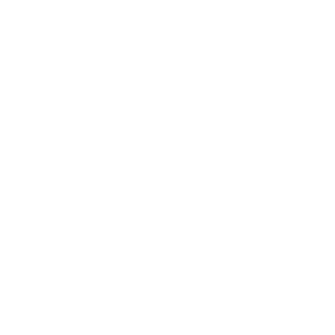 DigiSkills - DigiSkills